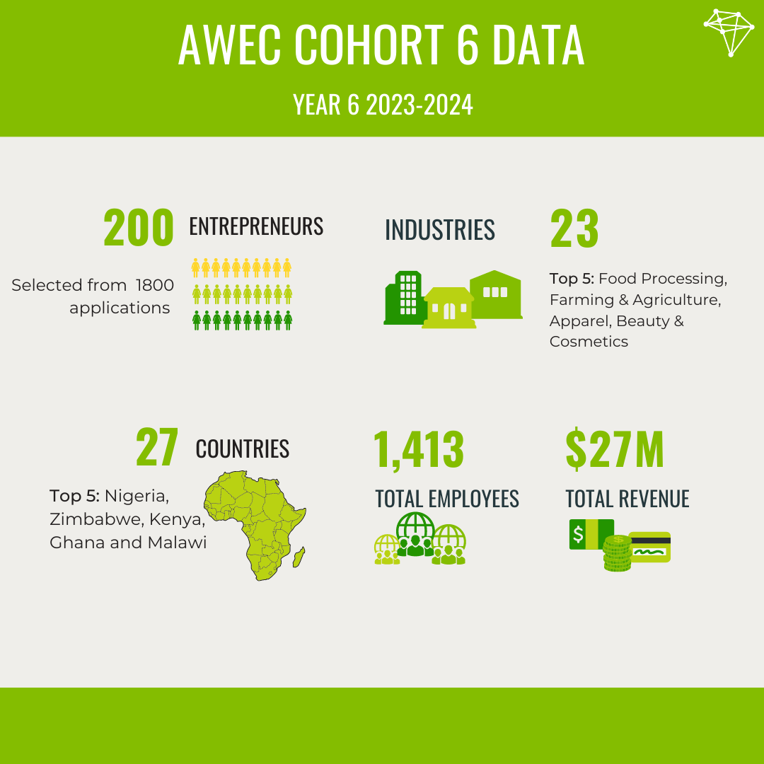 Kudos and a Warm Welcome to all Cohort 6 Fellows! — African Women Entrepreneurship Cooperative