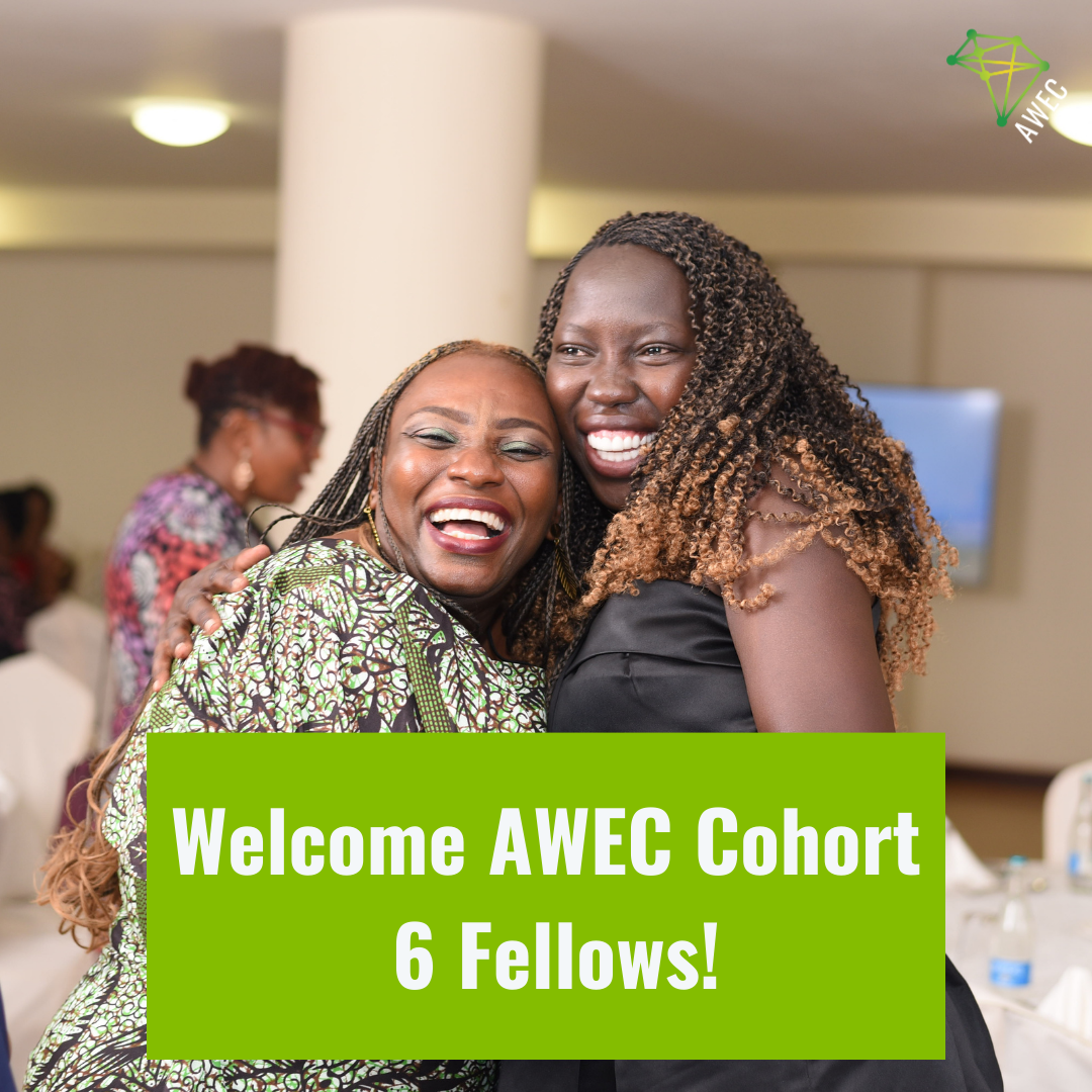 Kudos and a Warm Welcome to all Cohort 6 Fellows! — African Women ...