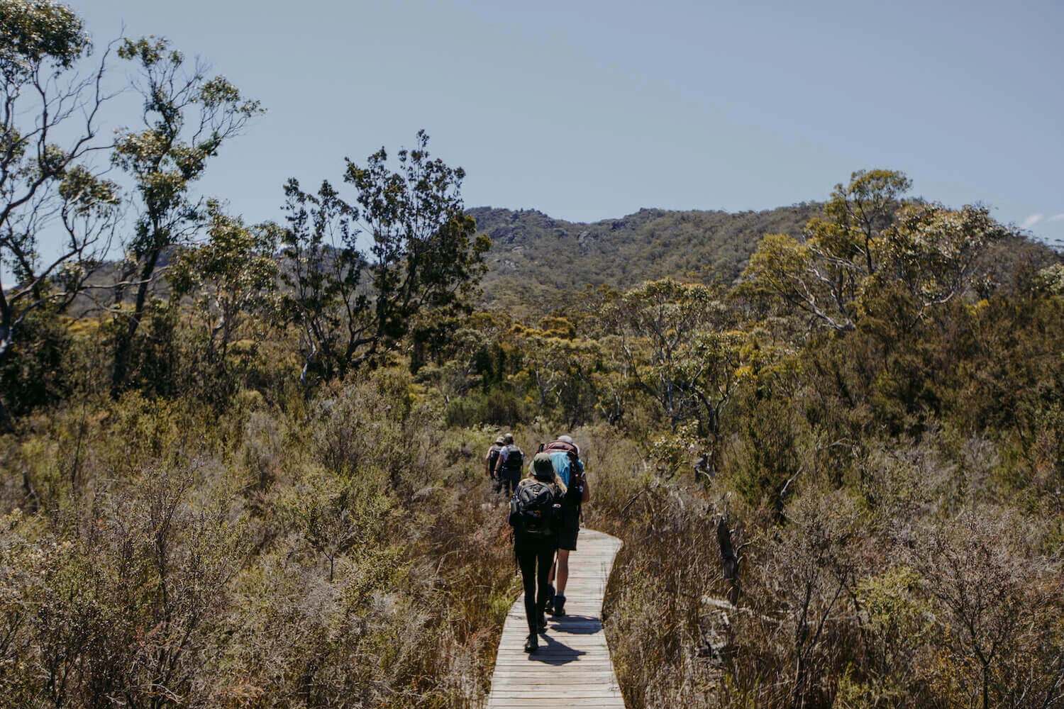 Freycinet Guided Hike | 4-Day Eco Walk Itinerary | Freycinet Experience ...
