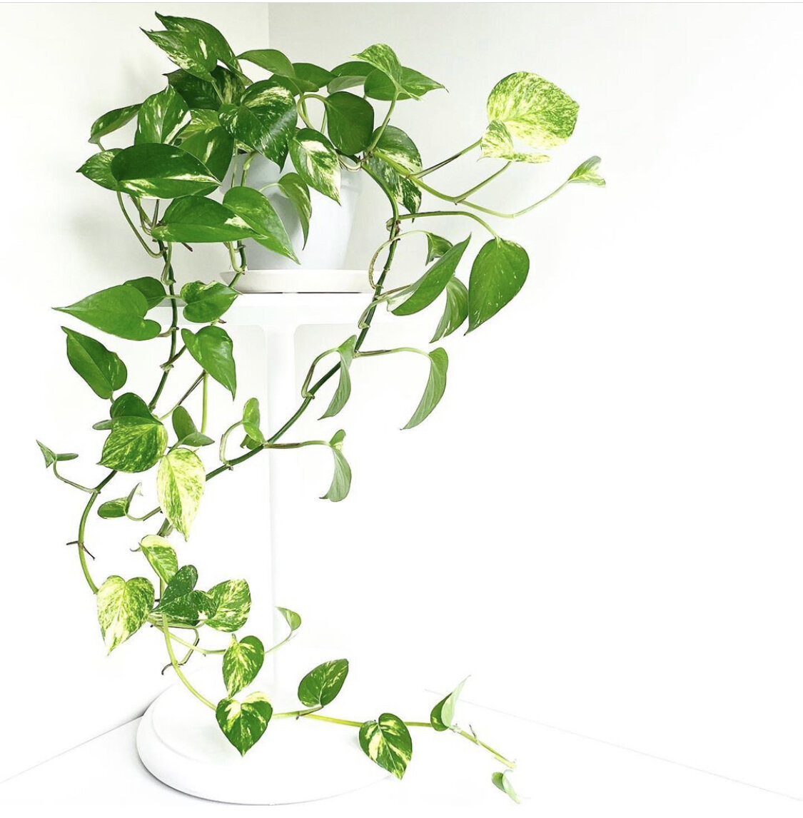 General 2 — About Us / Contact