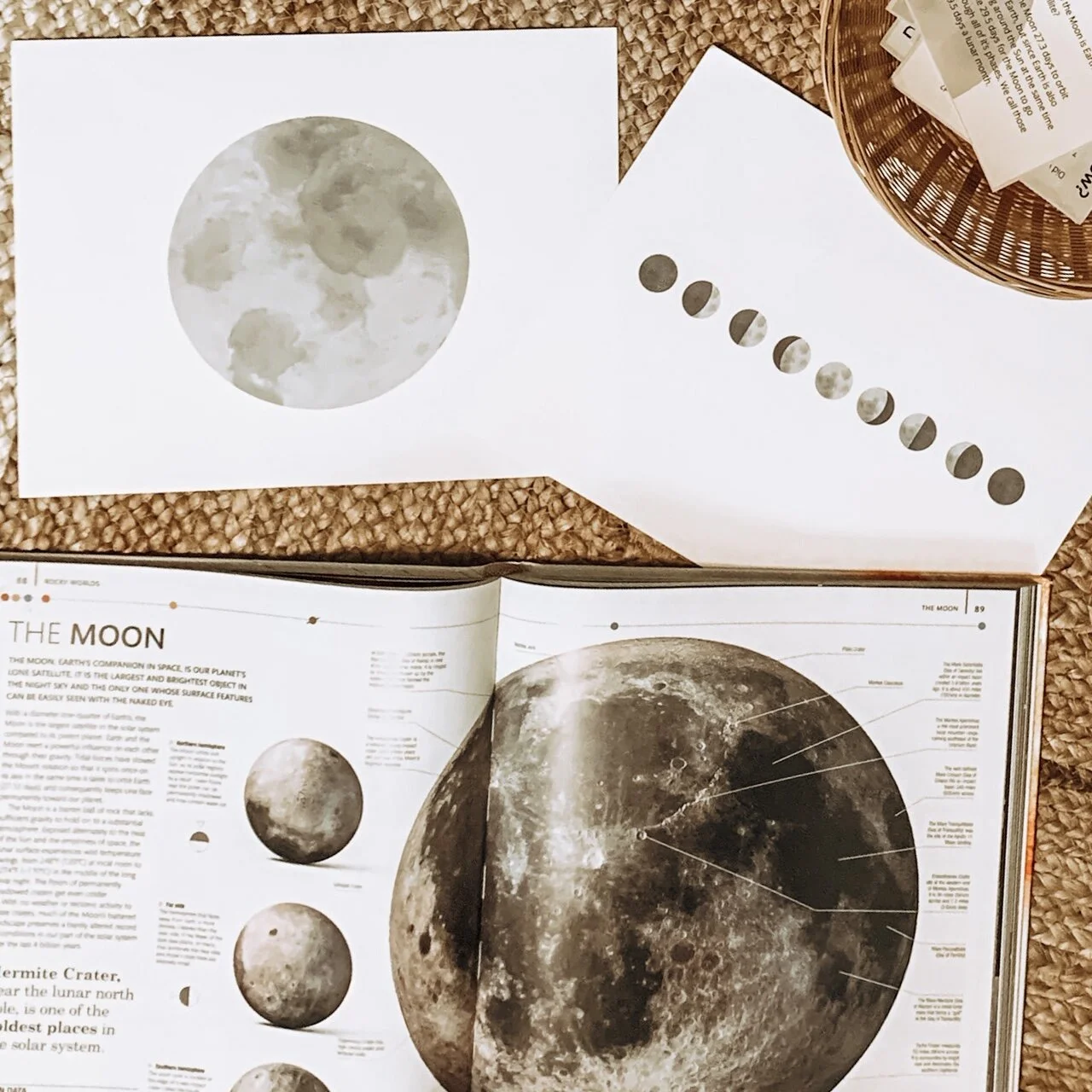 The Moon and Phases Unit and Resources — liza dora books