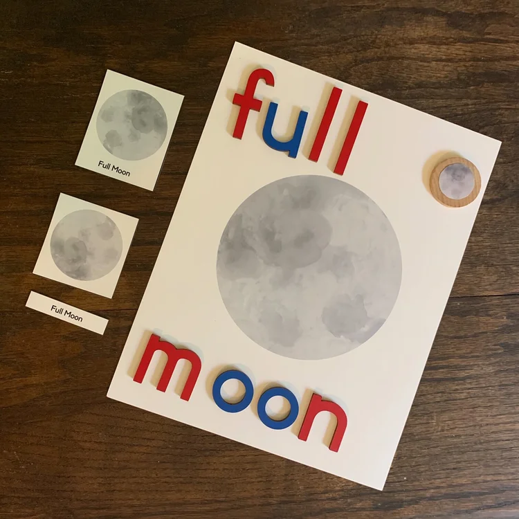 The Moon and Phases Unit and Resources — liza dora books
