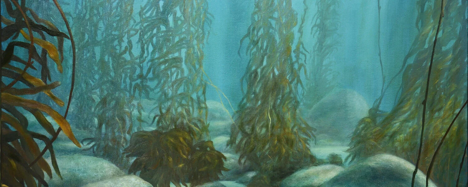 Catherine Stringer Artist