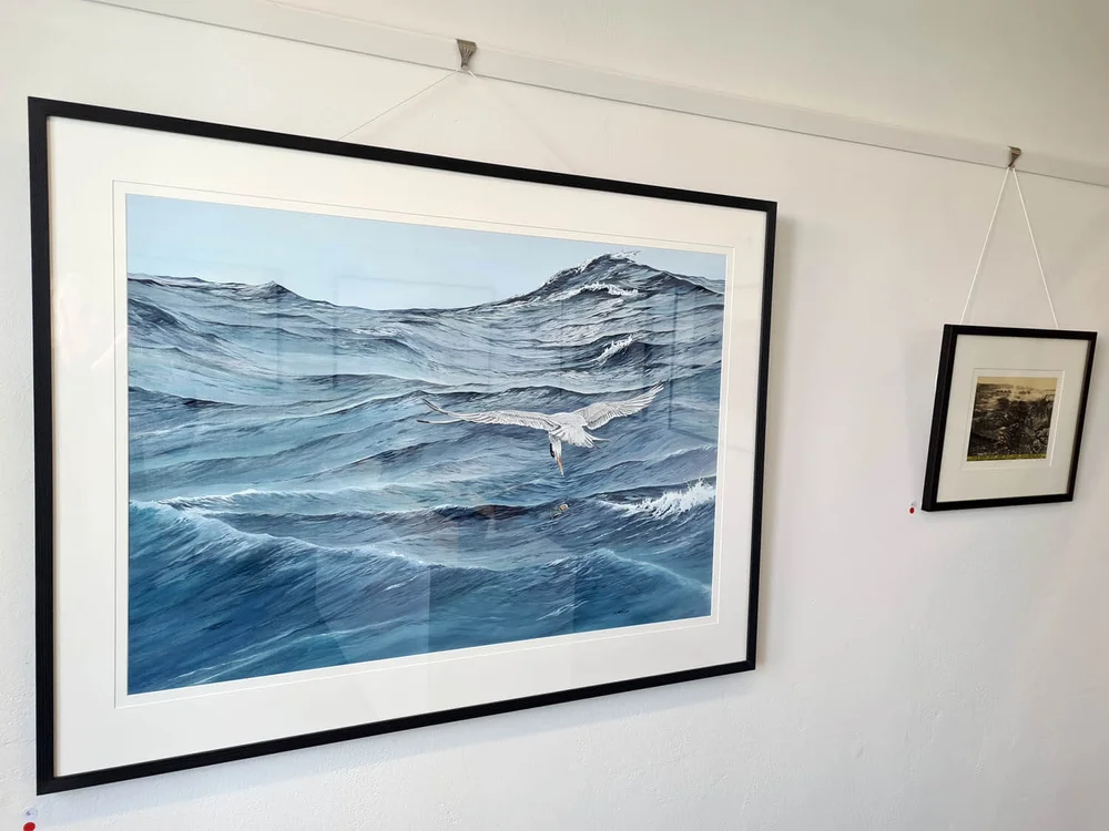 Exhibition: Poor Souls — Catherine Stringer Artist