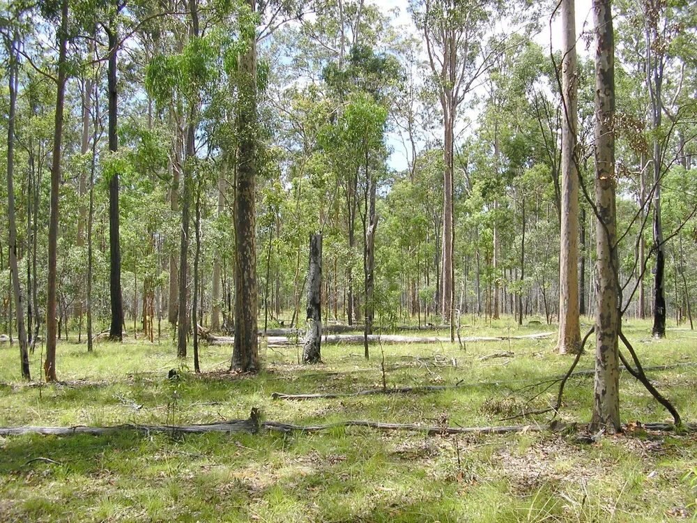 Benefits of timber — Parkside Timber & Renewables