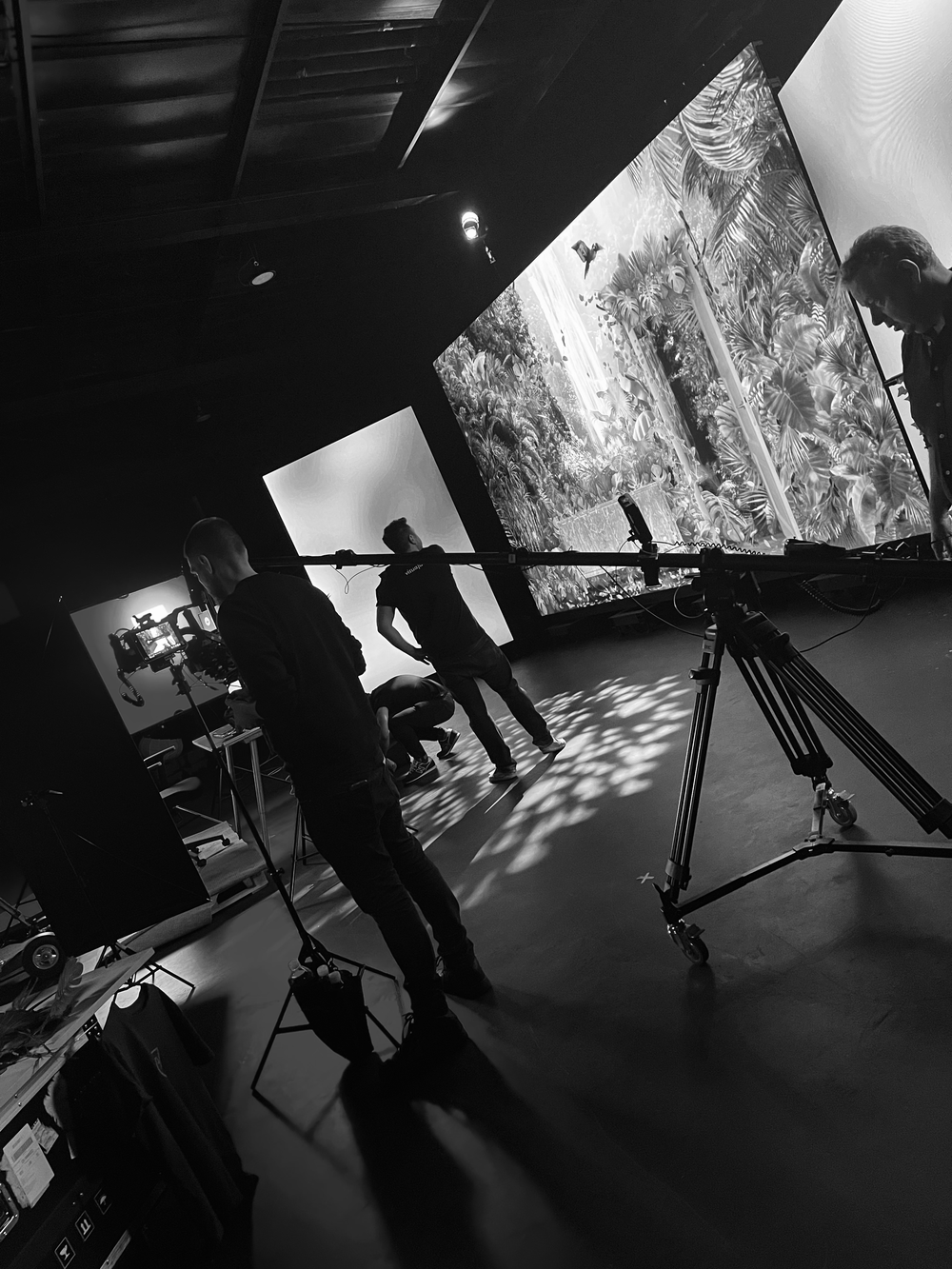 Samsung 'Jungle King' Production — VISUALAB Media