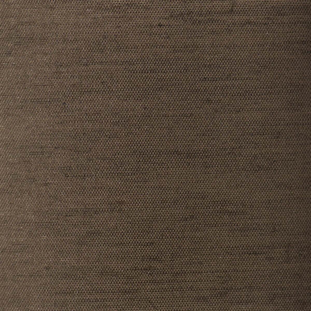 Museum Case — MUSEA Lab