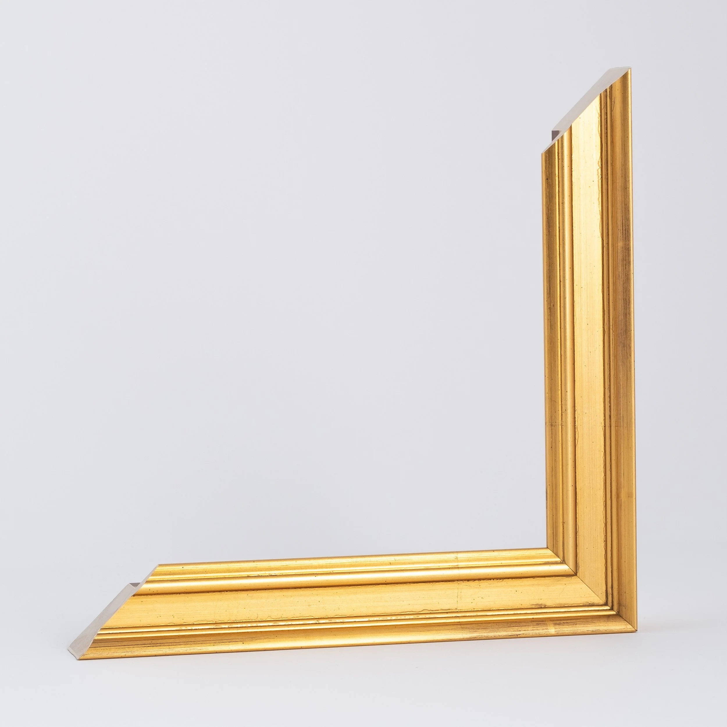 Fundy MUSEA frame collection — MUSEA Lab