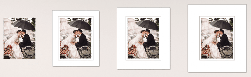 Customized and Professional Photo Matting — MUSEA Lab