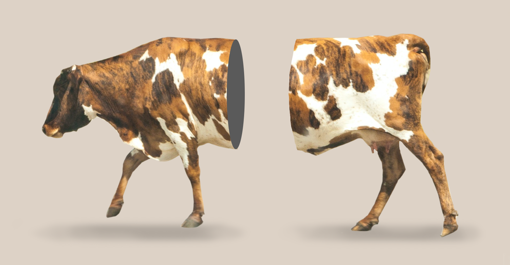 Cutting Animals in Half & Walking Between Them — Mind Meets God