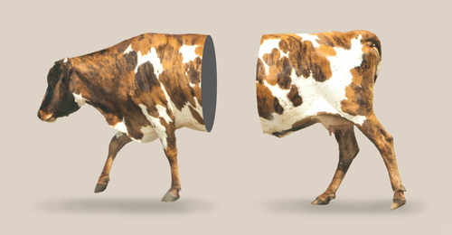 Cutting Animals in Half & Walking Between Them — Mind Meets God