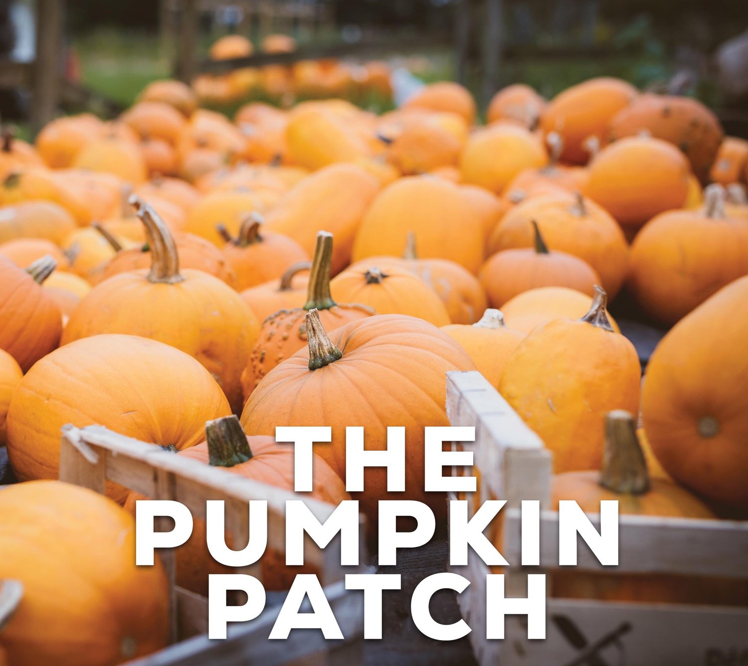 Events & Classes — Cobbs Play Barn