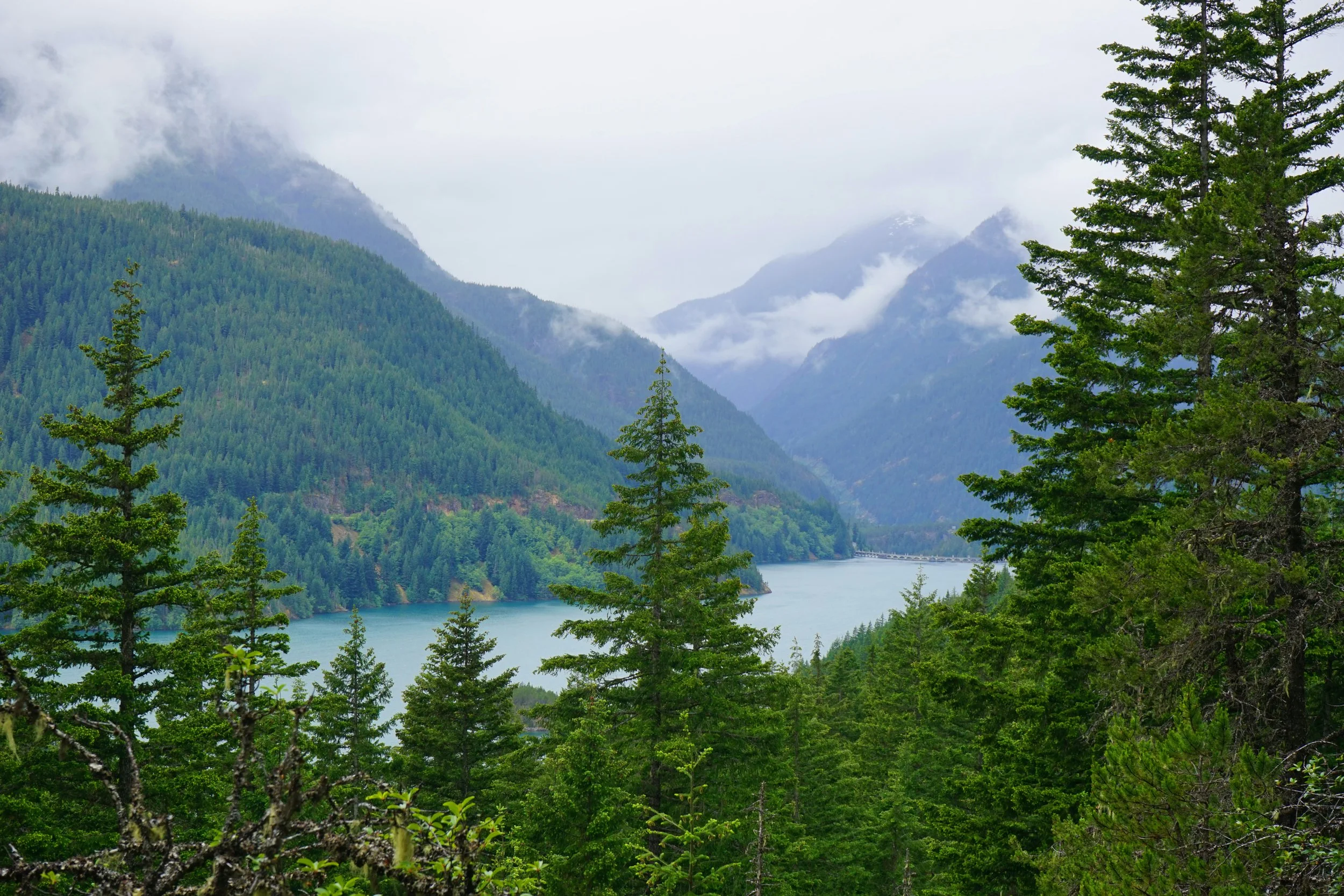 SER Capital Partners