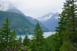 SER Capital Partners