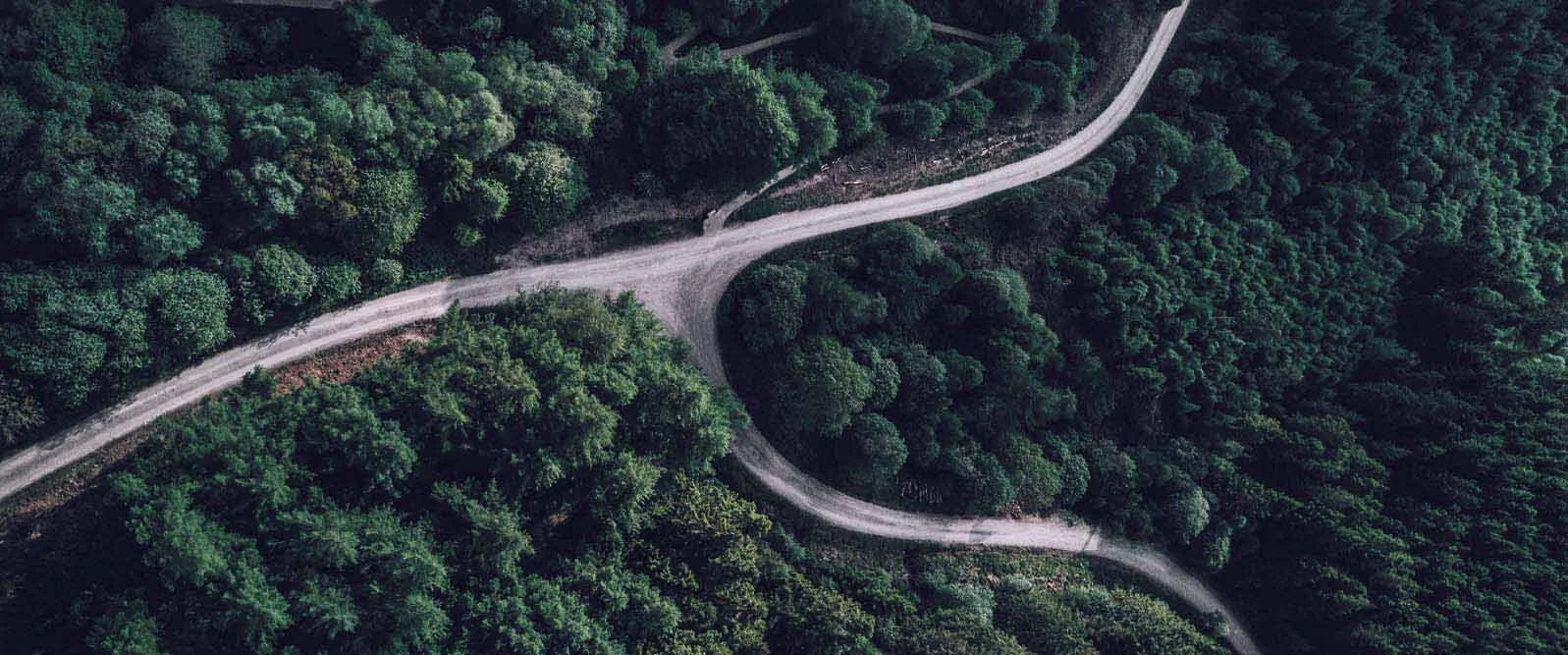 Strategy | Performance | Coaching | Consultancy — Spitfire