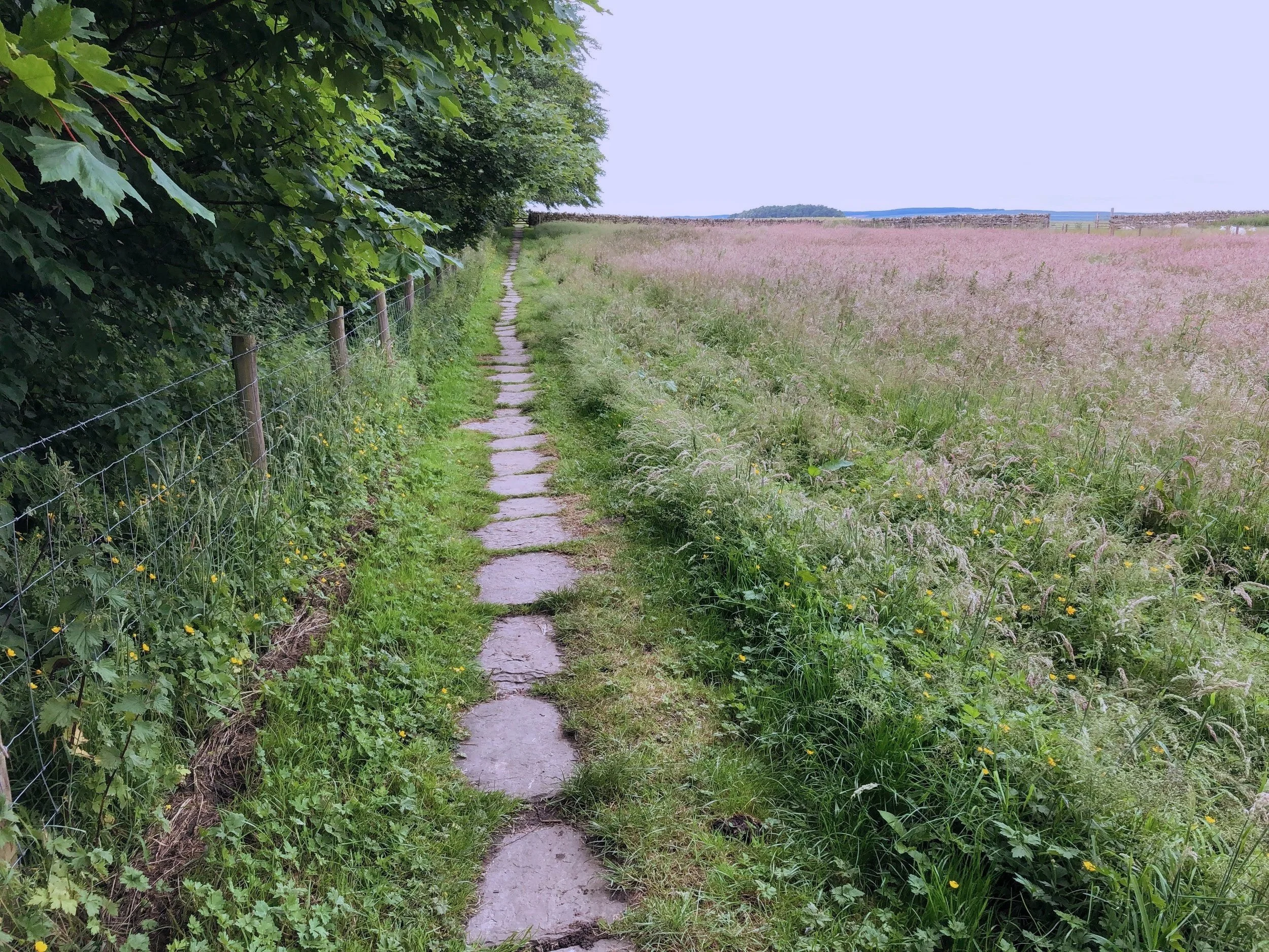 Blog | Pathway Learning | Practical Seminary Training for Church Leaders