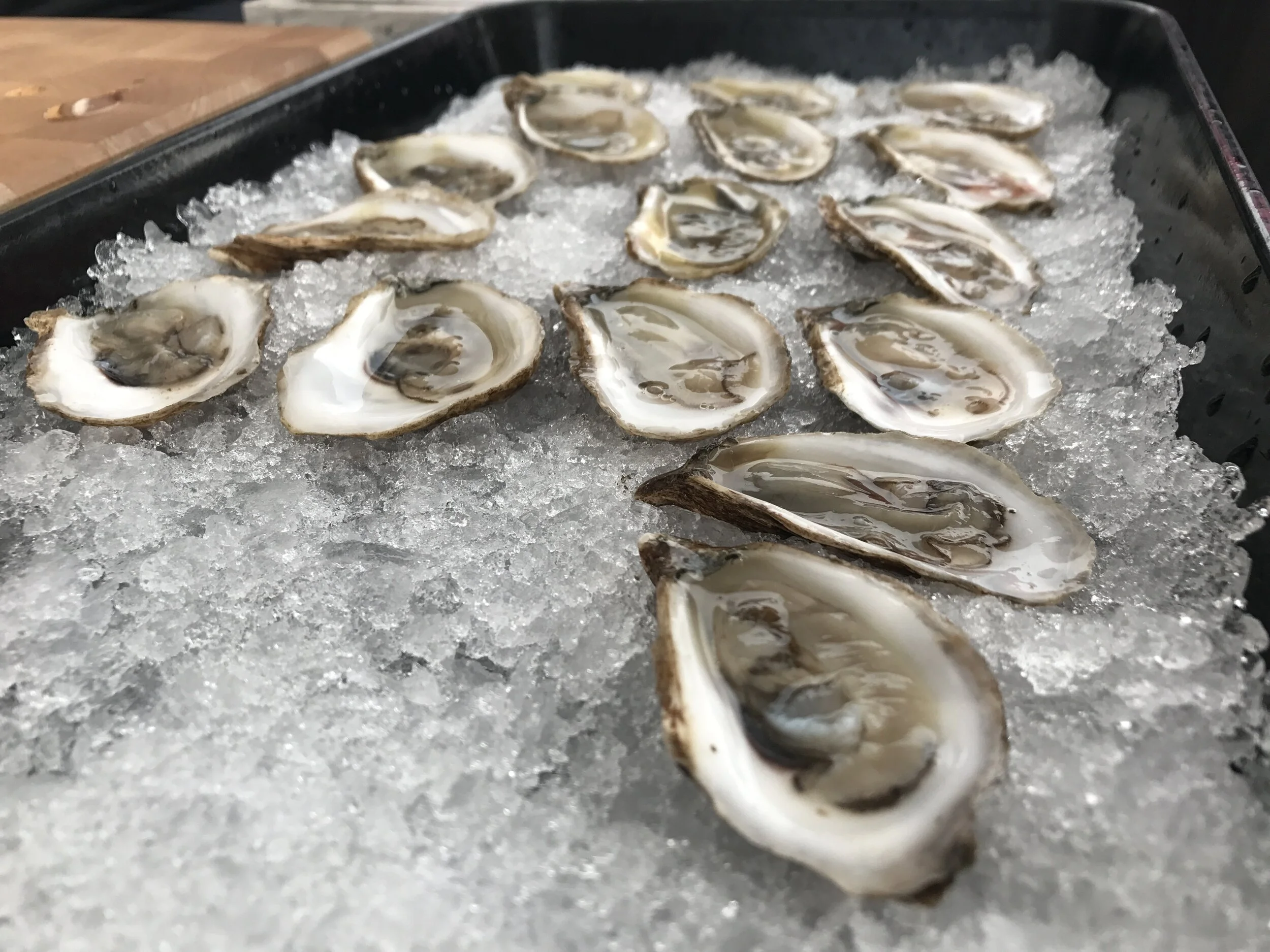 Seafood — Primal Cuts