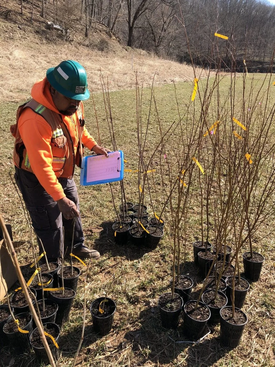 Contract Growing: Being Proactive vs Reactive – Native Forest