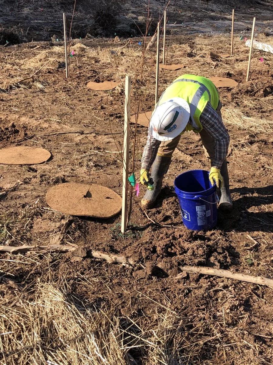 Contract Growing: Being Proactive vs Reactive – Native Forest