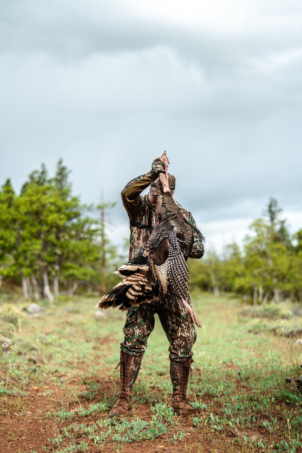 Gallery 3 — Chasing 49