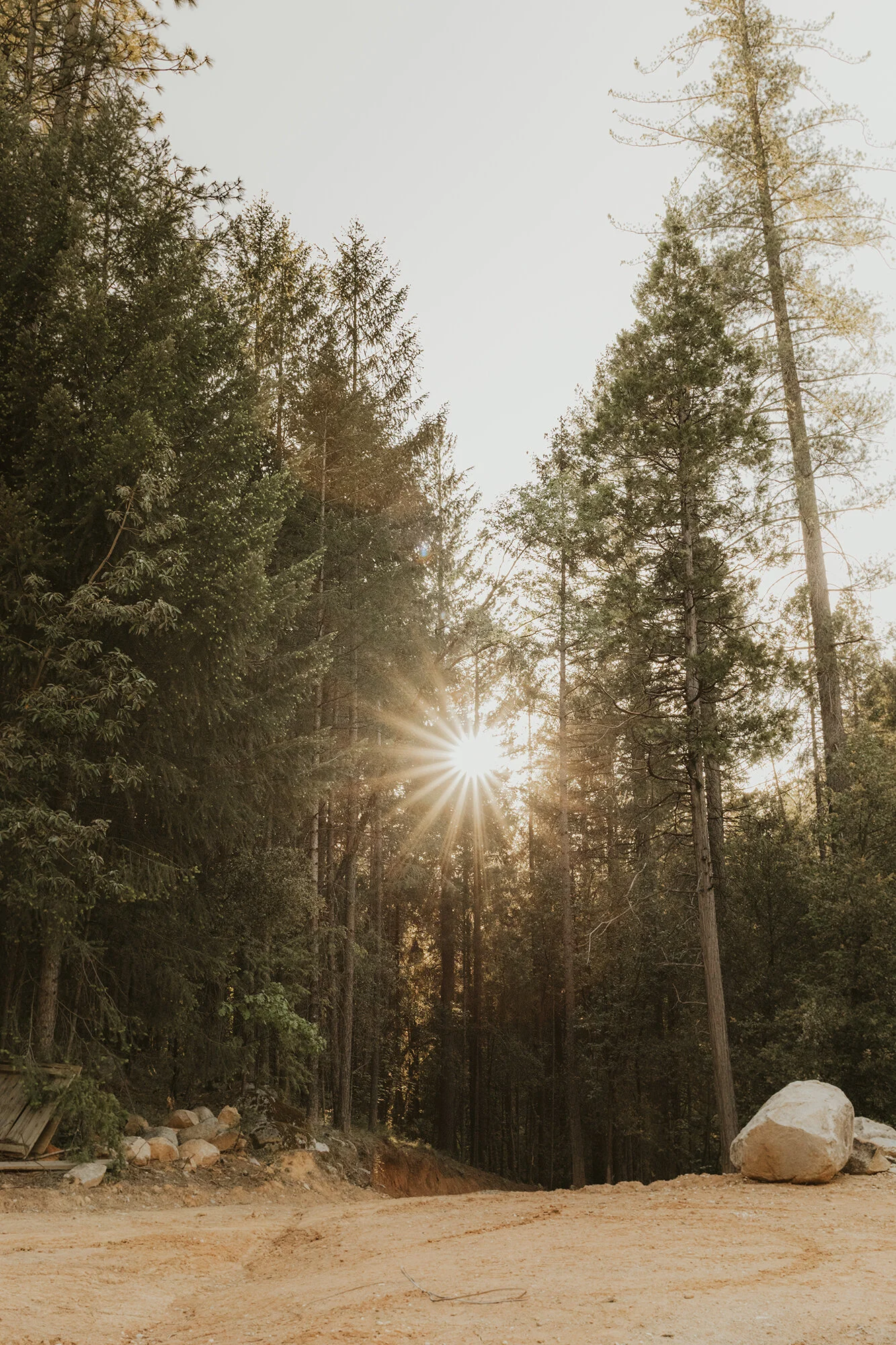 About — Ridge Logging