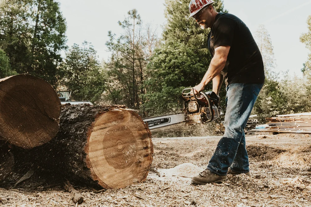 About | Discover Safe, Sustainable Logging Today — Ridge Logging
