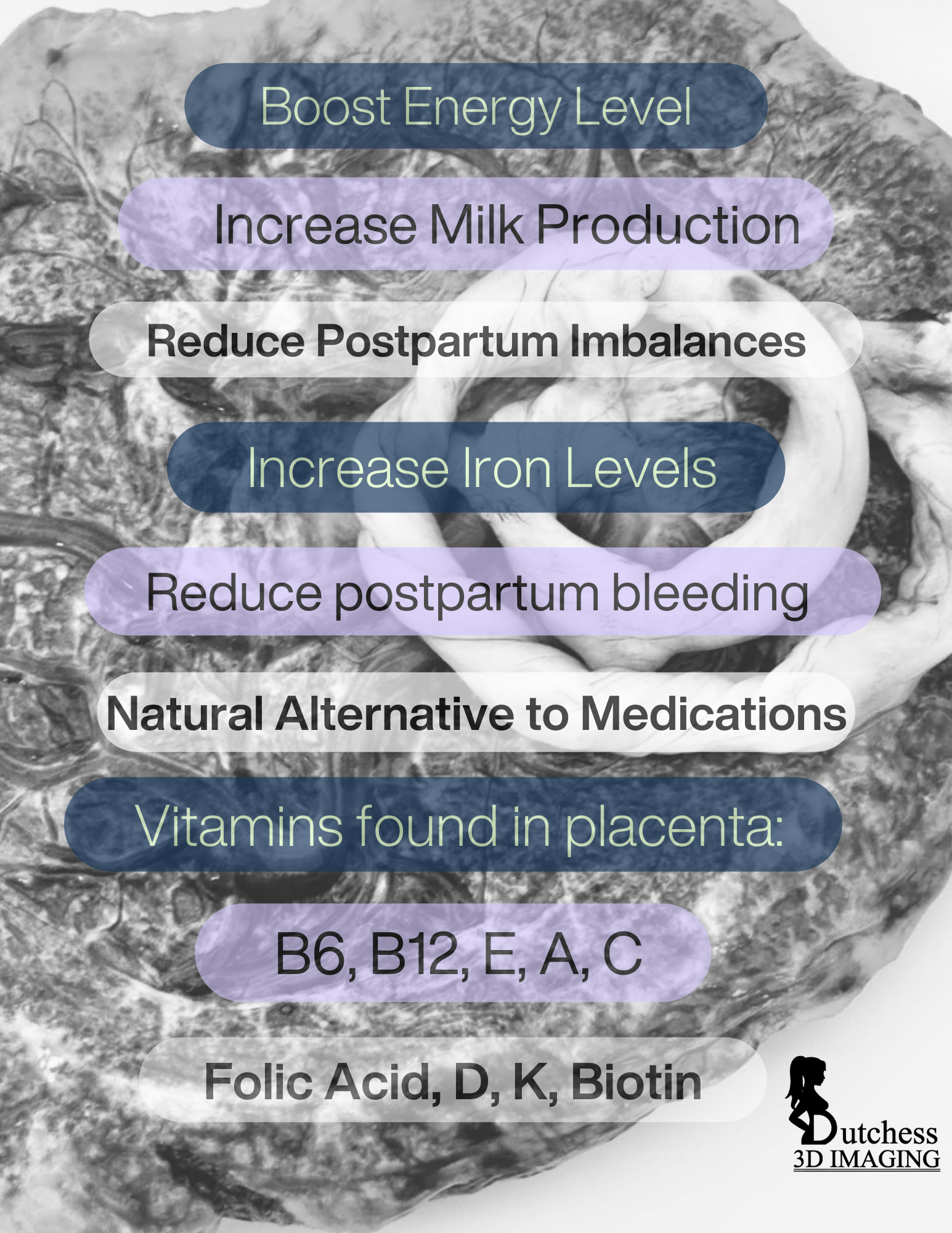 Placenta Encapsulation Service — Dutchess 3D Imaging