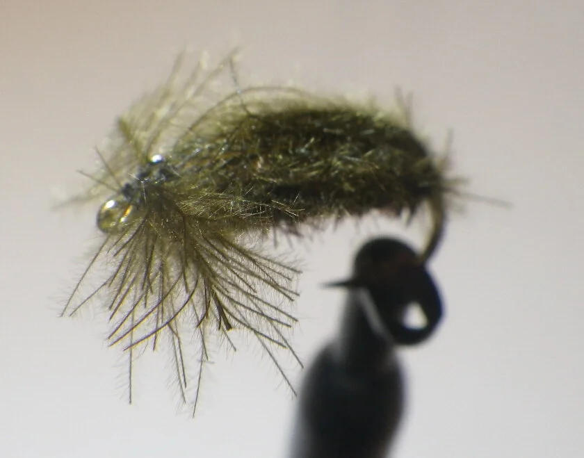 CDC Beetle — T. Hargrove Fly Fishing Inc.