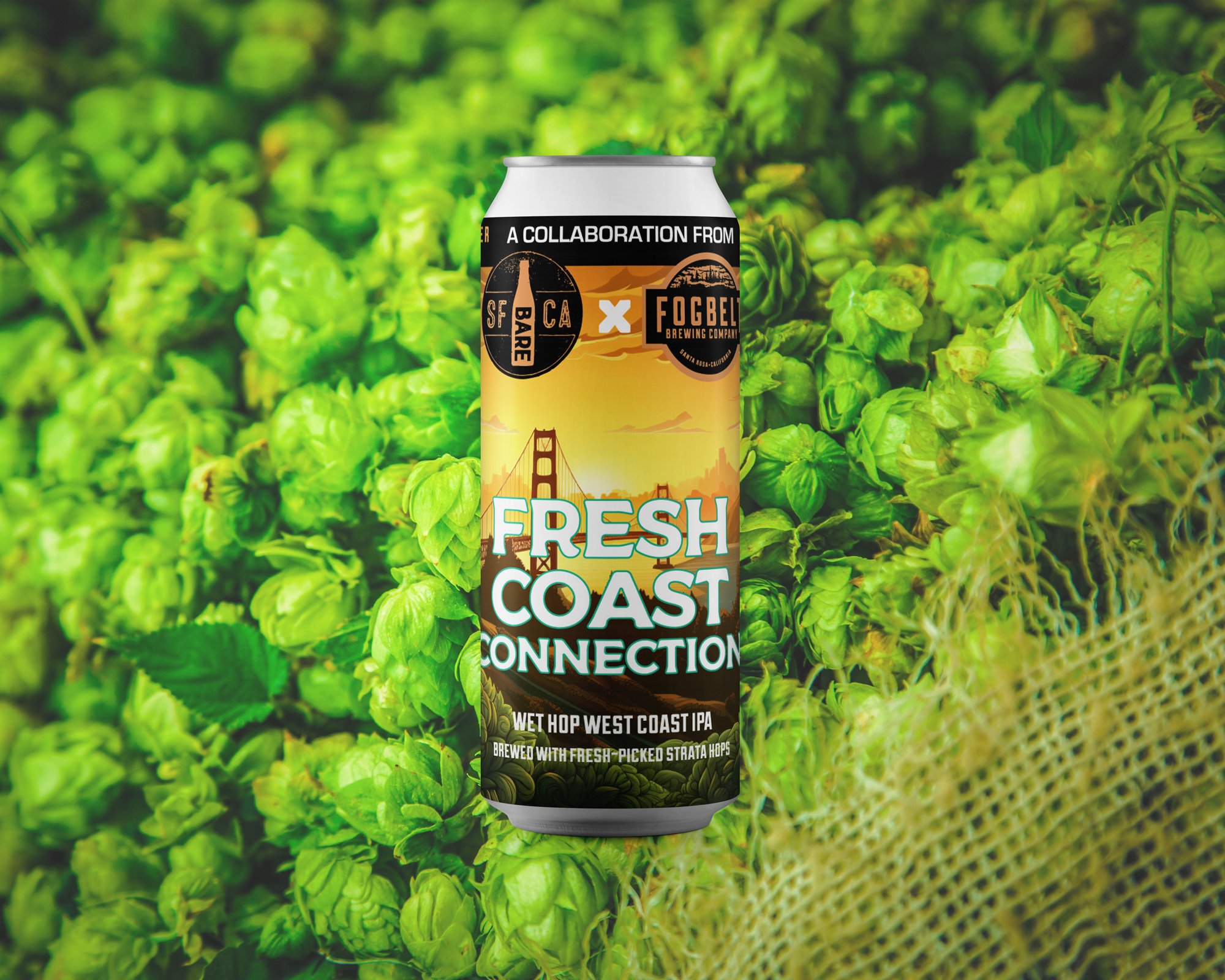 Our Beers — Fogbelt Brewing Co.