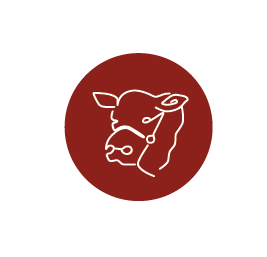 Angus Steak House
