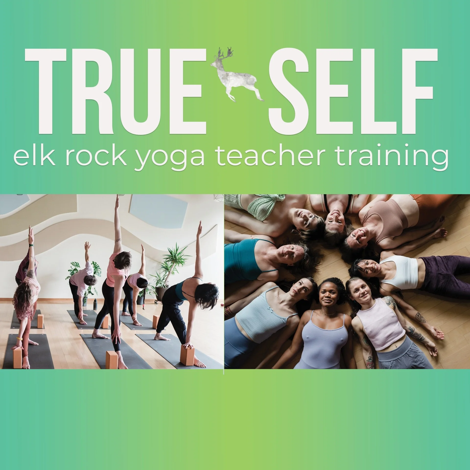 Elk Rock Yoga