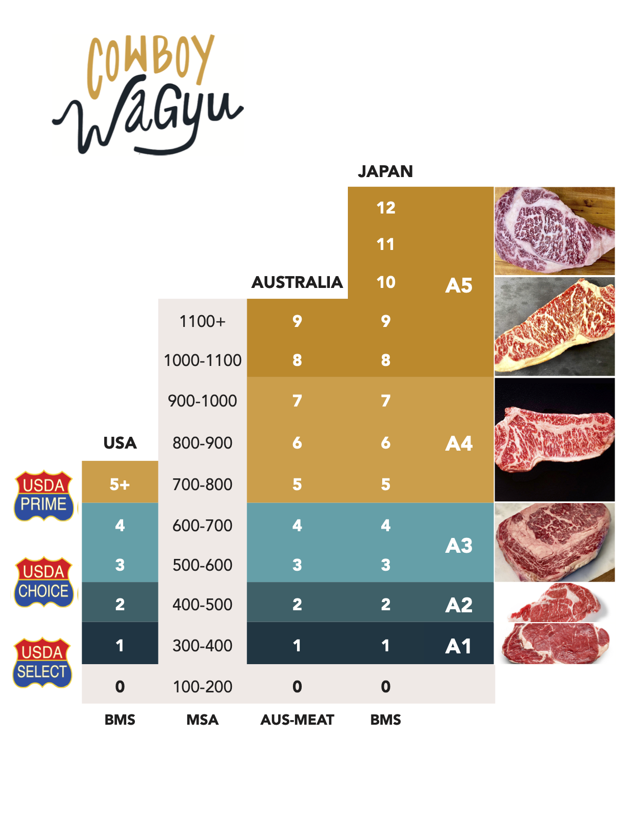 Wagyu Marble Score And Grading: An Explanation – CUDAE