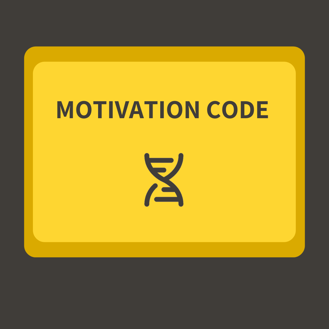 Store — Story Solutions — Executive Leadership Coaching ...