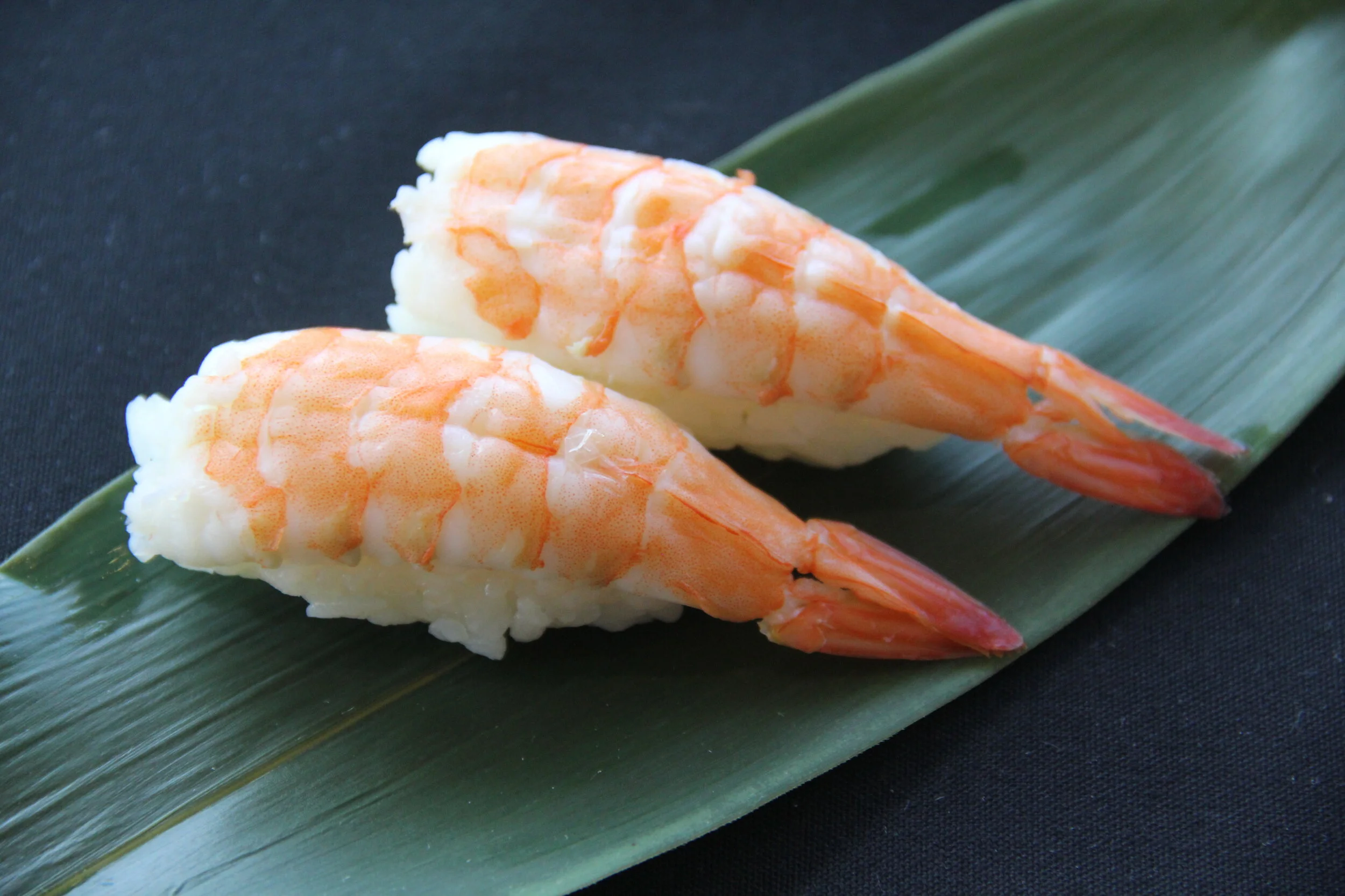 Sushi & Sashimi Menu — One Sushi & Grill