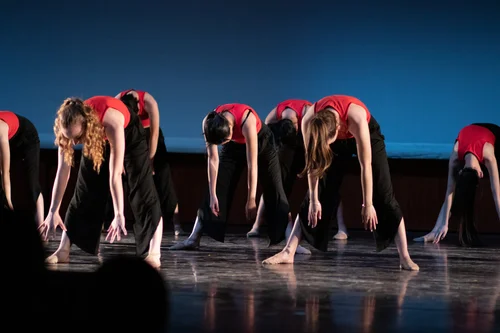 UChicago Dance | UChicago Dance Council