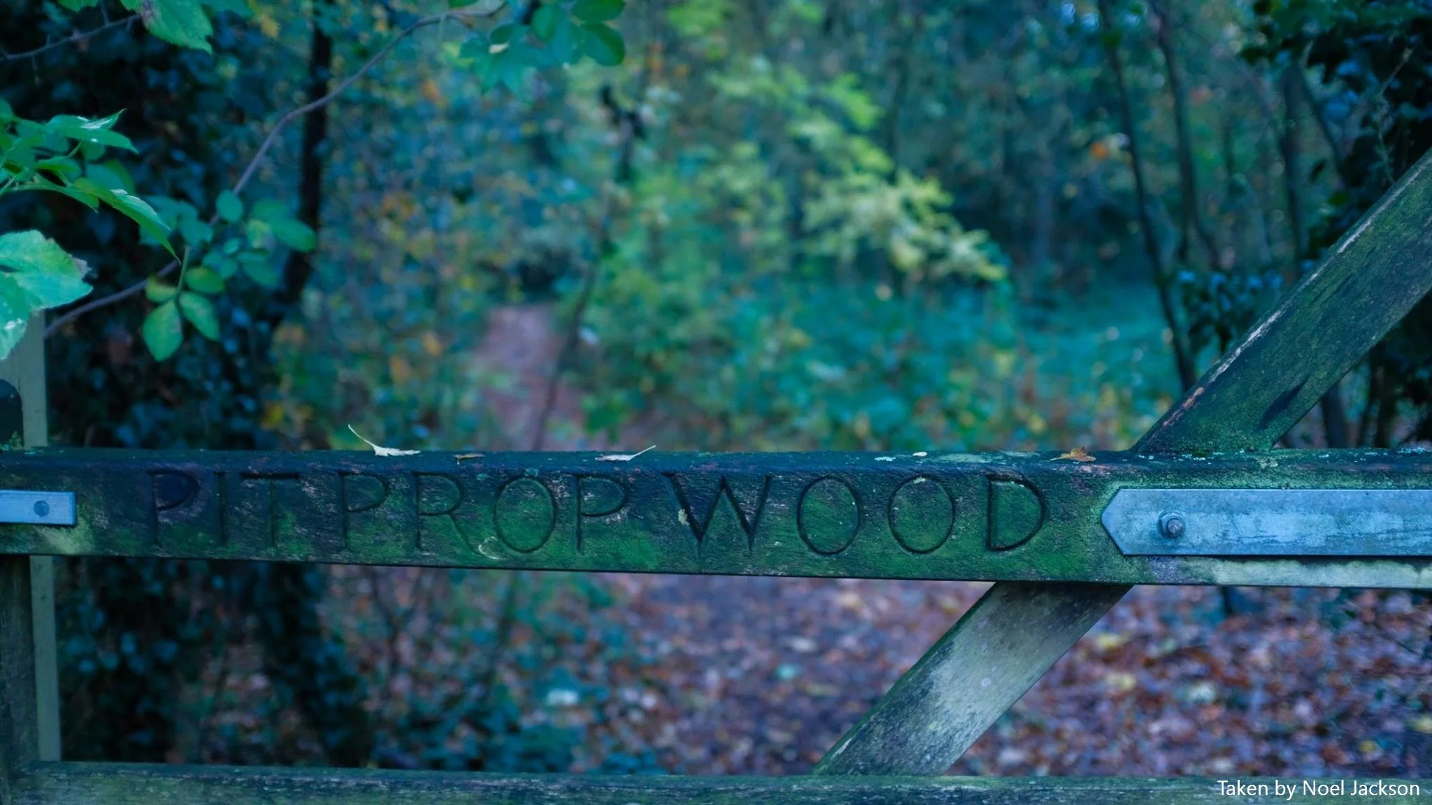 Country Park — Moira Furnace Museum & Country Park