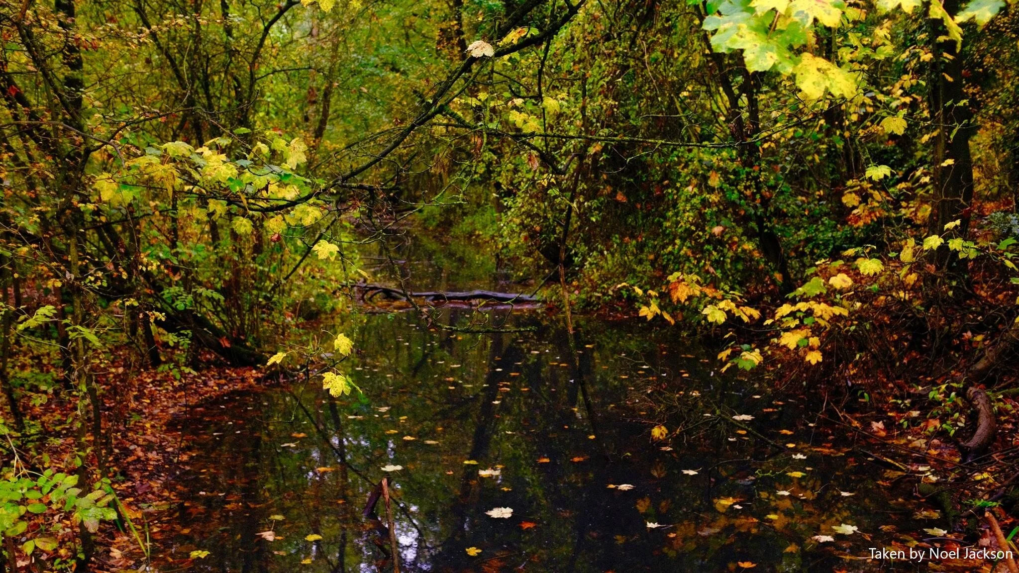 Country Park — Moira Furnace Museum & Country Park