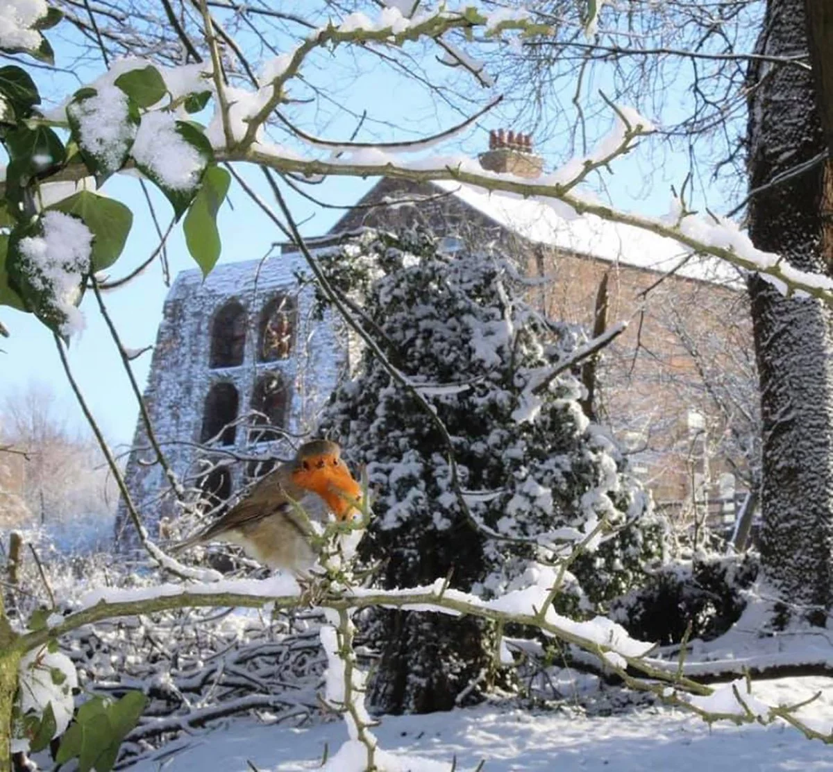 Events — Moira Furnace Museum & Country Park