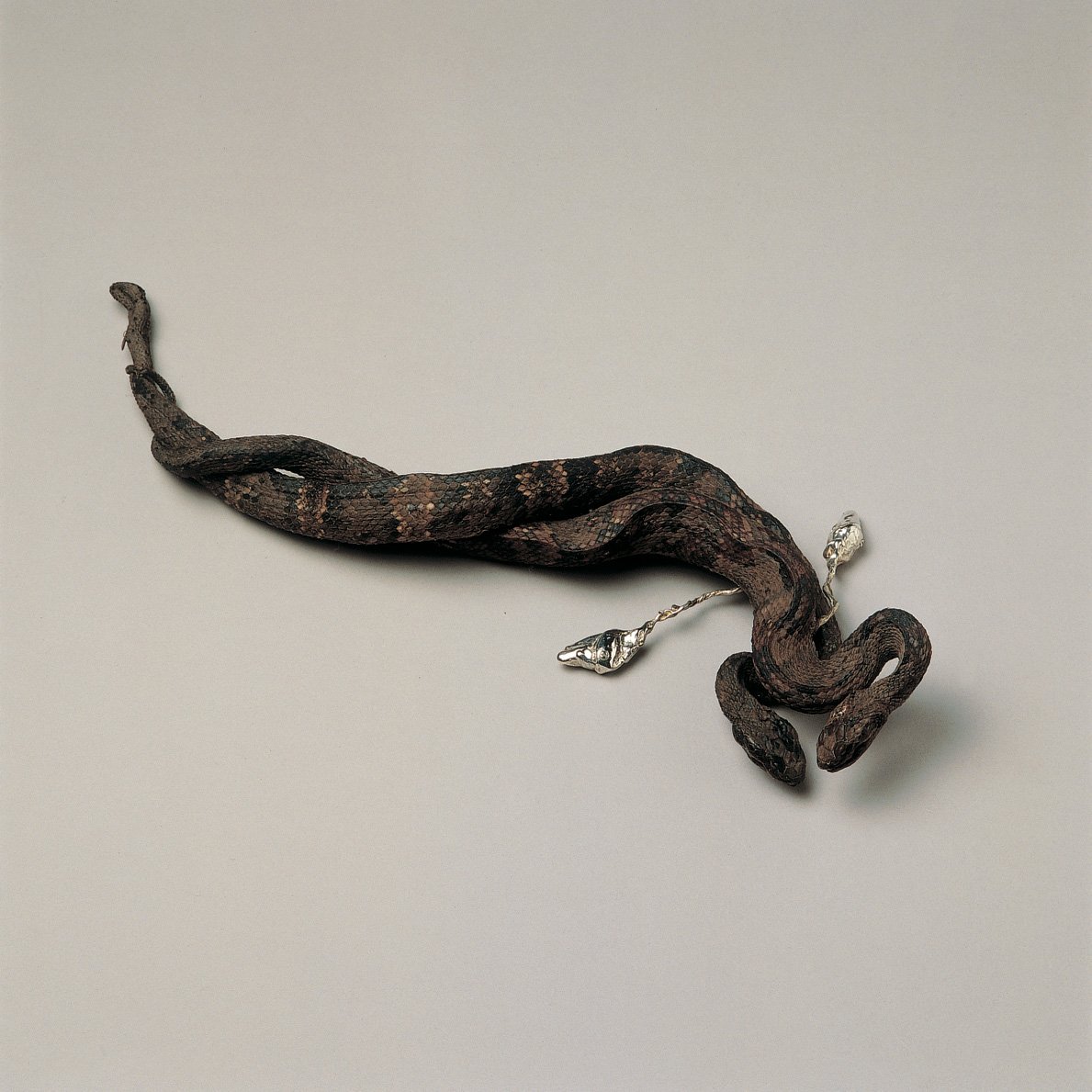 even (1996) — Dorothy Cross