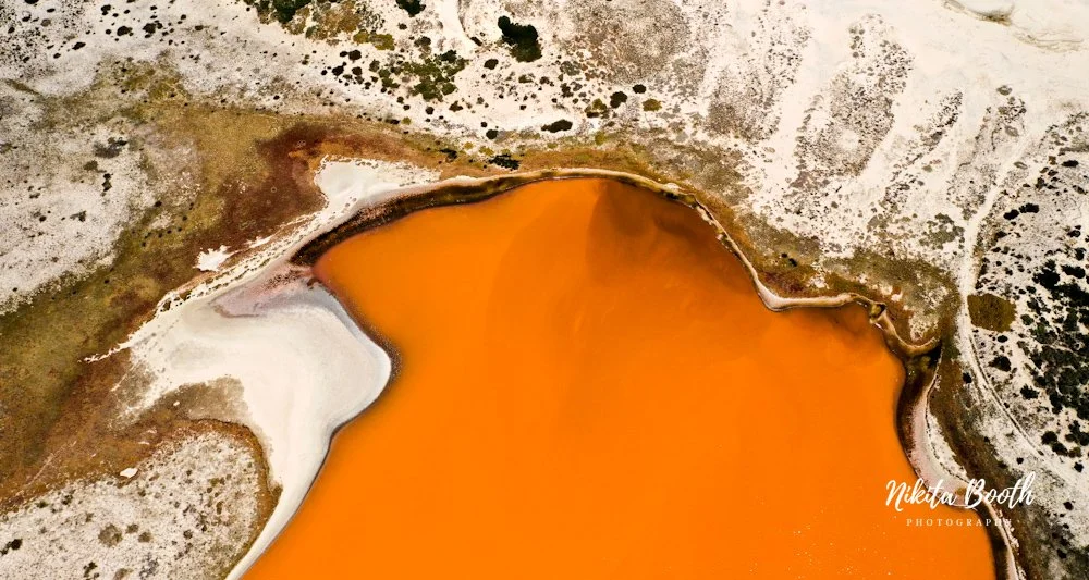 Wild Africa: A Photography Journey Through Beauty, Love, and Survival ...