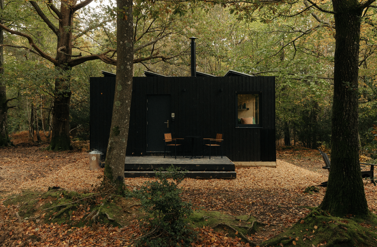 Unplugged’s Digital Detox Cabins: Escape, Reconnect & Recharge - The C ...