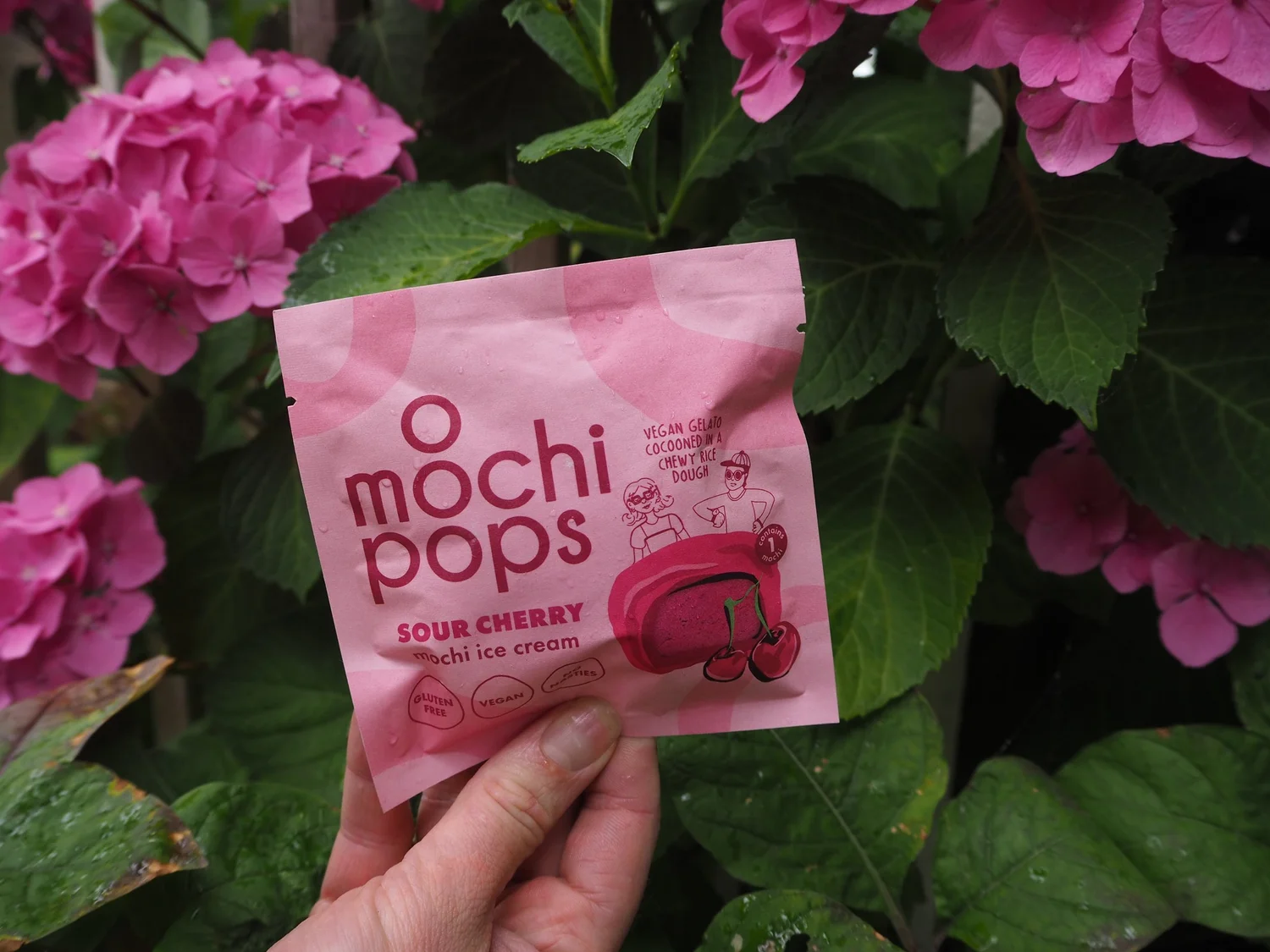 Quick Fire Questions with Mochipops Founder, Charlotte Beswick - The C ...