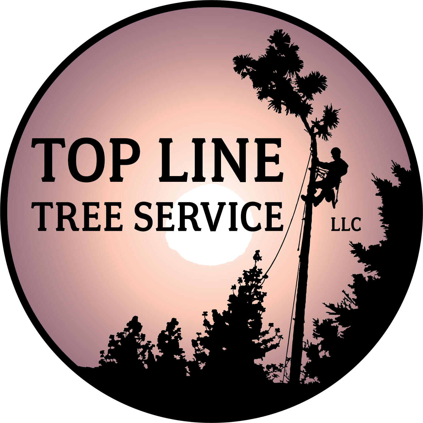 Top Line Tree Service SC