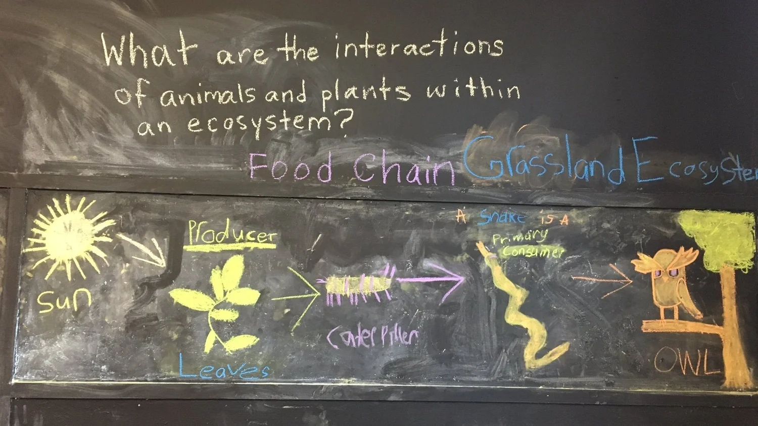 Learning Walls in Elementary School — Inquiring Minds Institute/home