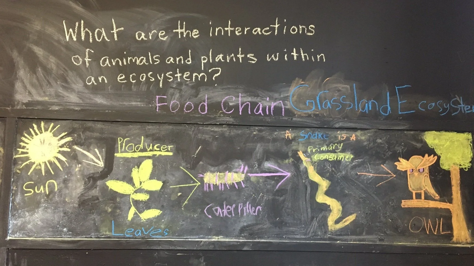 Learning Walls in Elementary School — Inquiring Minds Institute/home