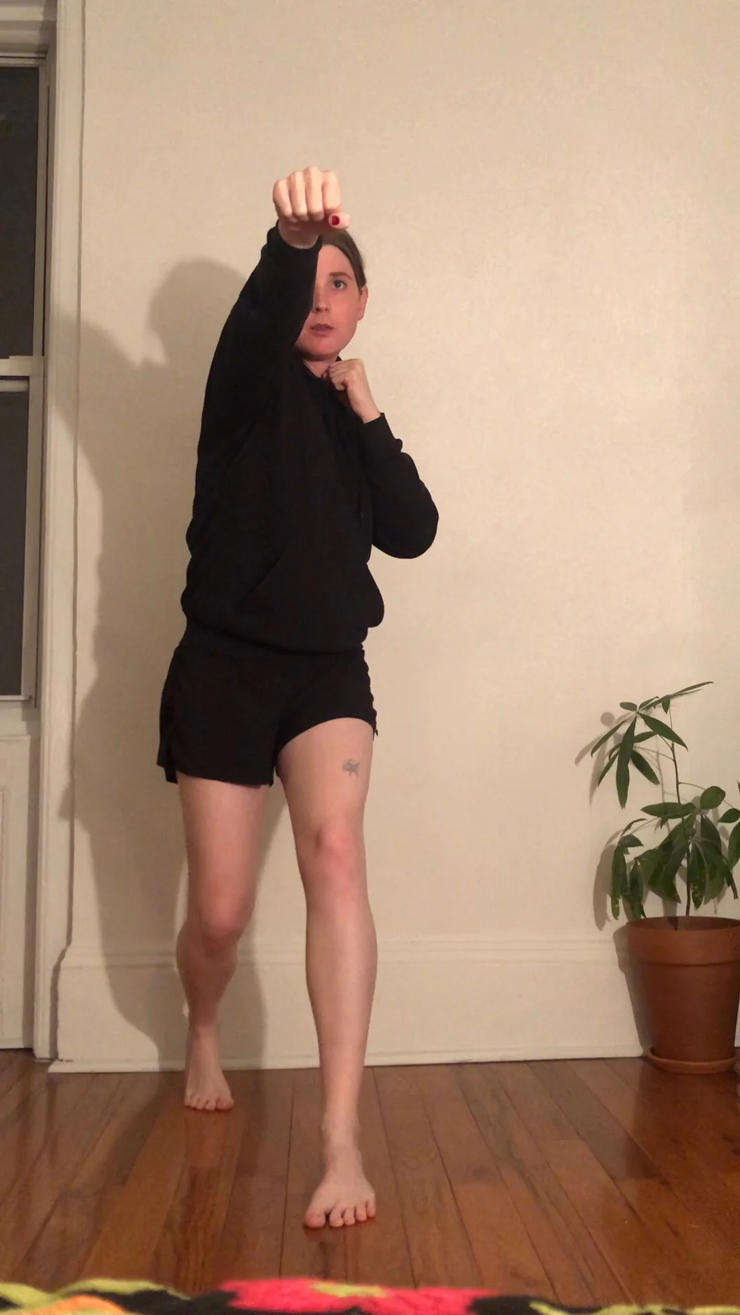 Ada — TRANS BOXING