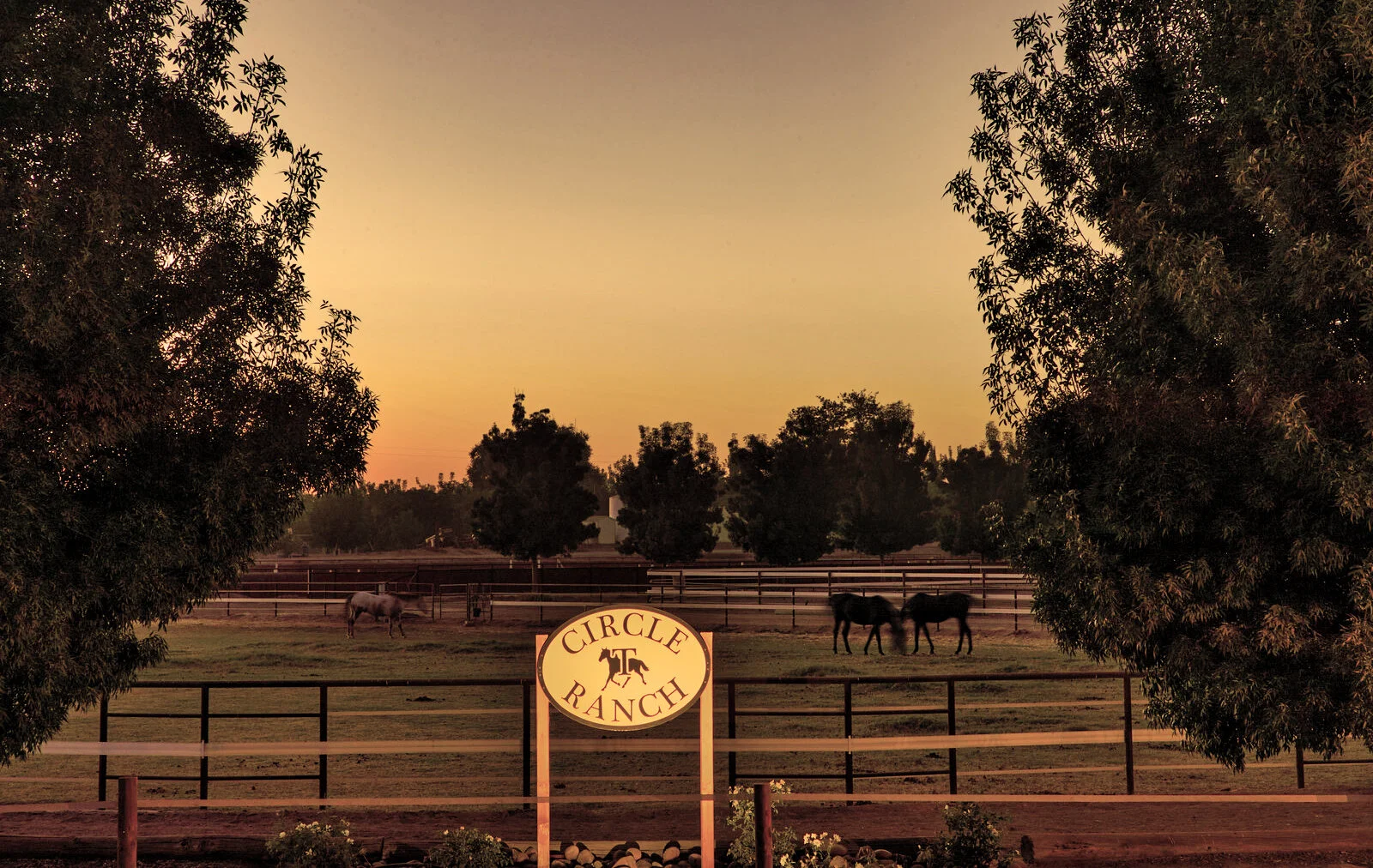 Circle T Ranch