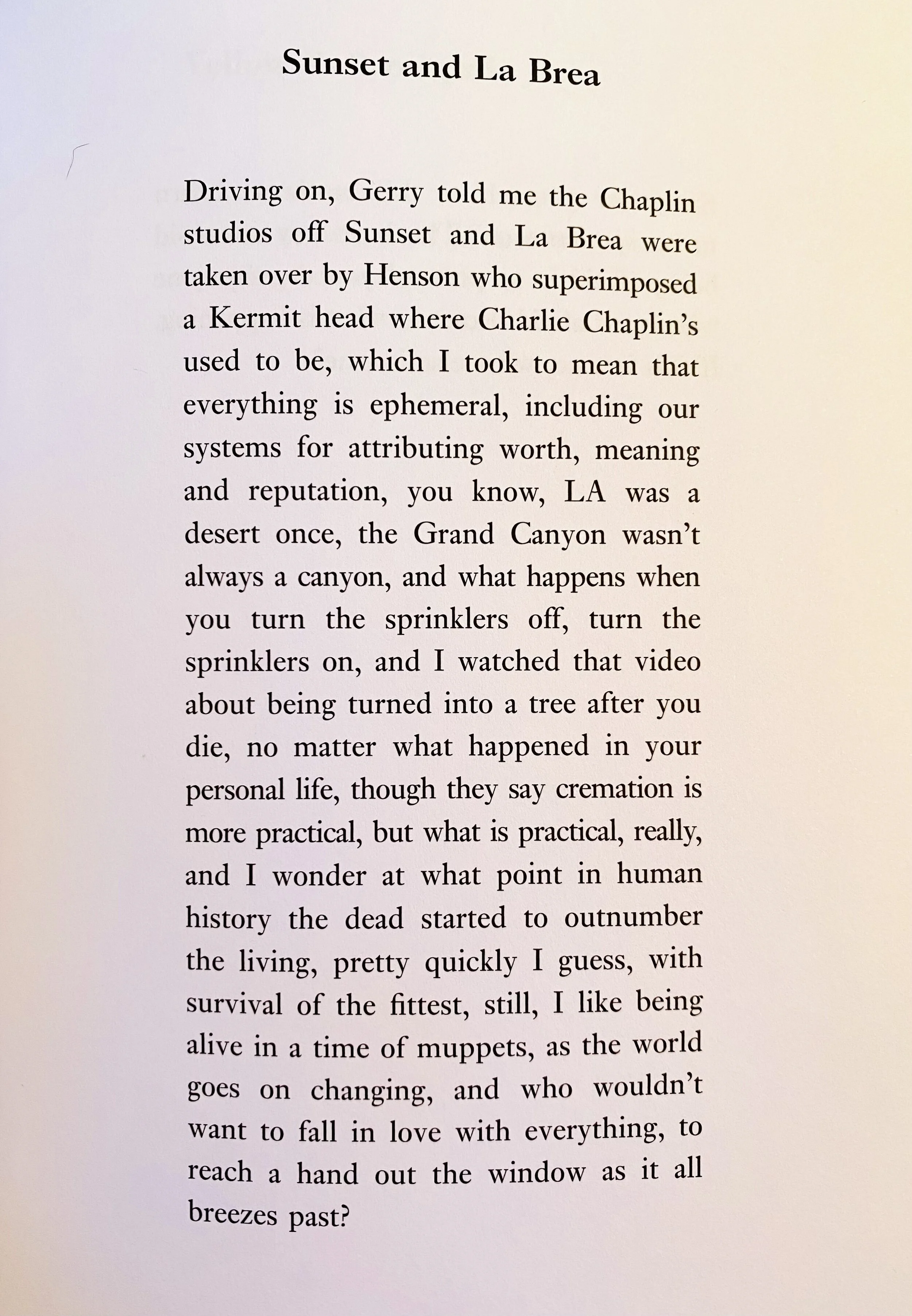 A Selection of the Poetry of Chrissy Williams — Mercurius