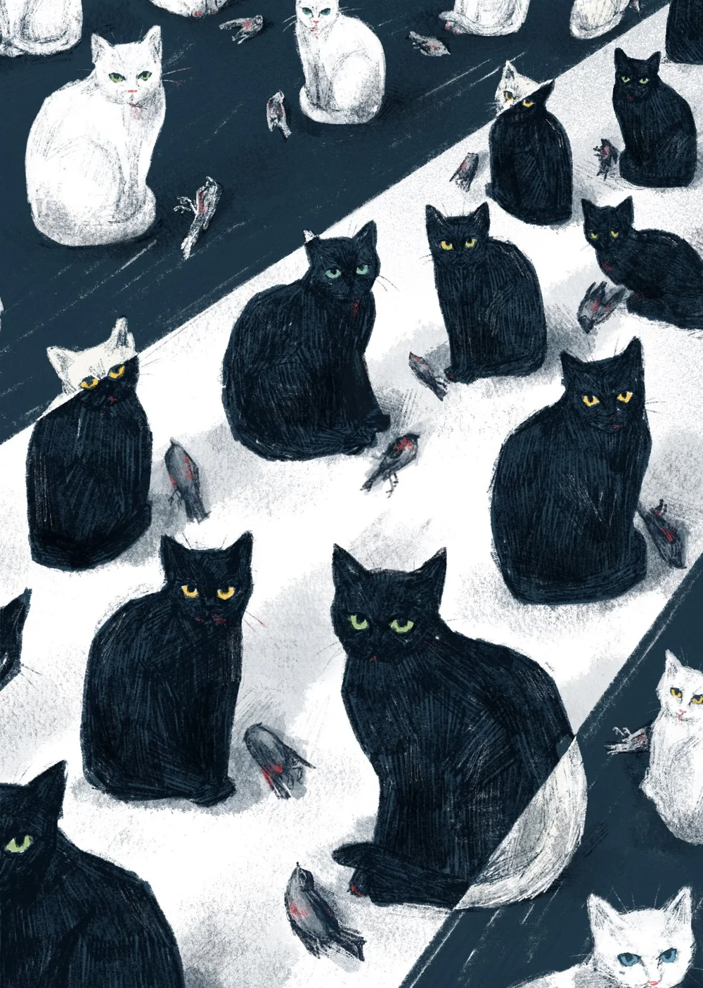 Illustrations — Emily Torres