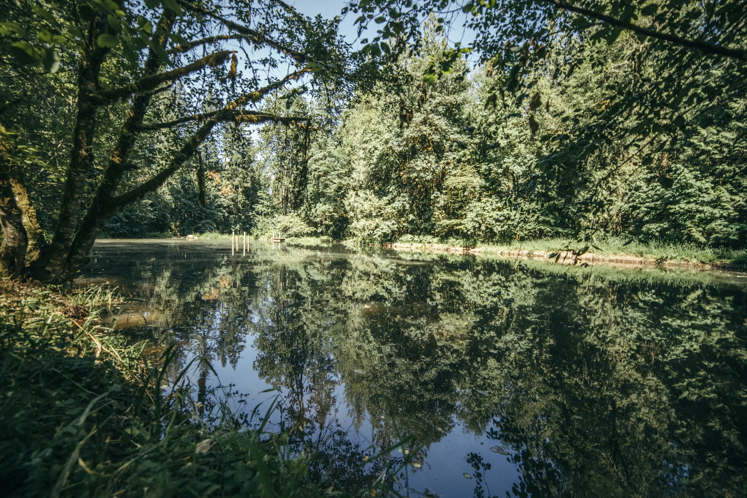 GALLERY — CAMP COLTON